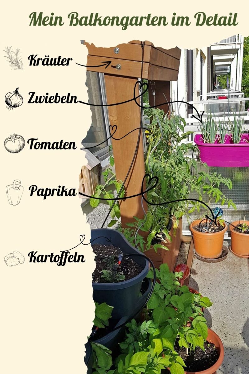 Urban Gardening: Gemüse auf dem Balkon anbauen - so klappt's