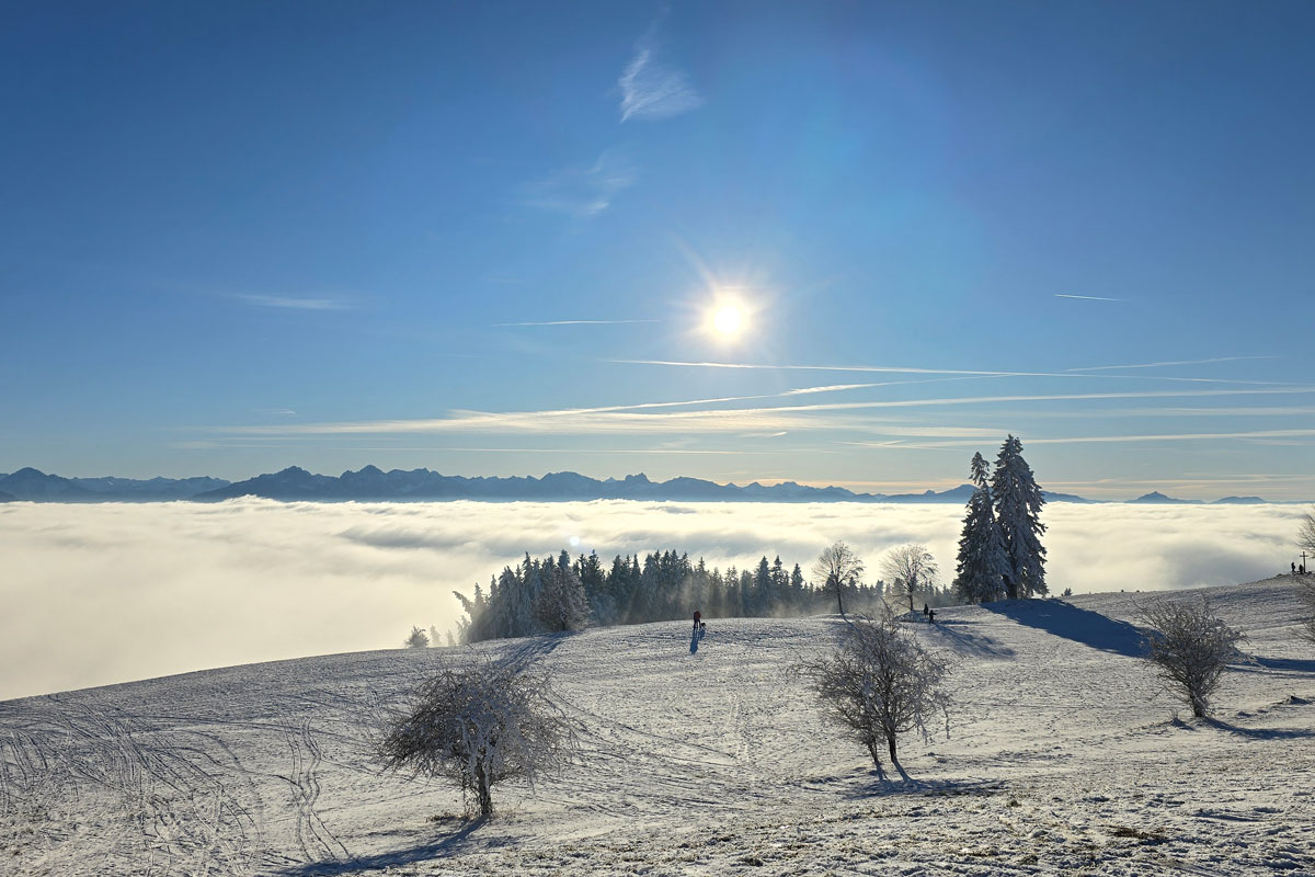 Christmas Magic & Winter Fun: My December Monthly Recap - RetroCat