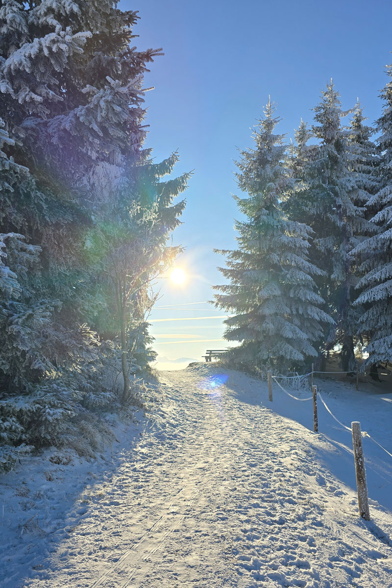 Christmas Magic & Winter Fun: My December Monthly Recap - RetroCat